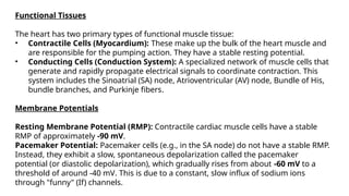 Comprehensive Overview of the Human Cardiovascular System and Cardiac ...