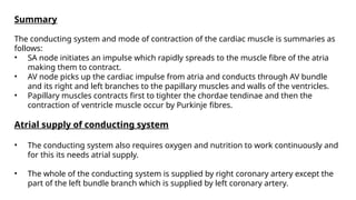 Comprehensive Overview of the Human Cardiovascular System and Cardiac ...