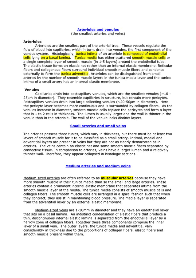 Cardiovascular system copy | DOC