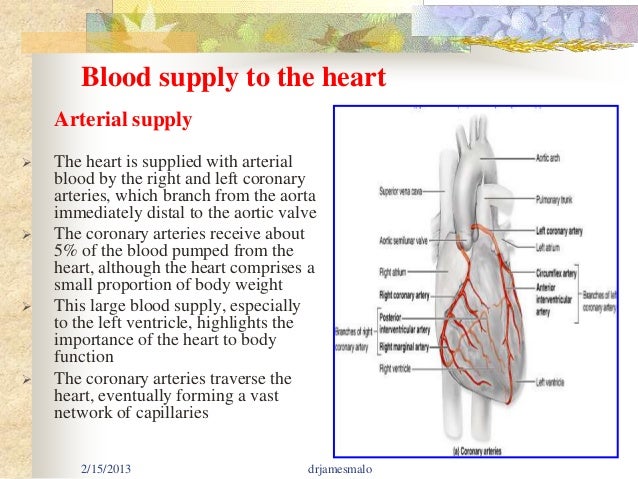 Cardiovascularsystem.drjma