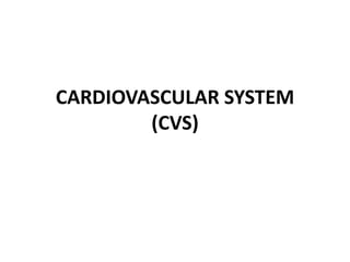 Cardiovascular system- ECG.pdf