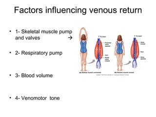 Cardiovascular system flow and pressure | PPT | Heart and ...