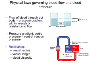Cardiovascular system flow and pressure | PPT | Heart and ...