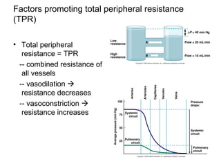 Cardiovascular system flow and pressure | PPT | Heart and ...