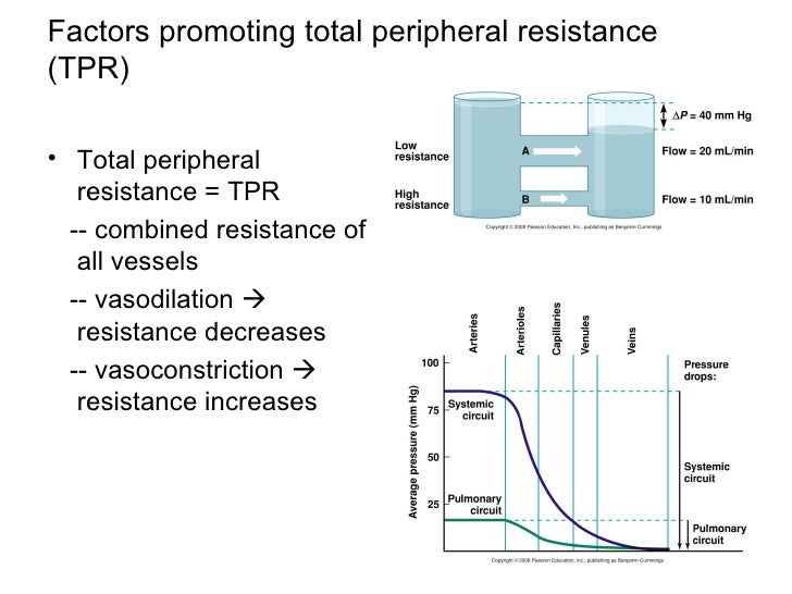 Cardiovascular system flow and pressure