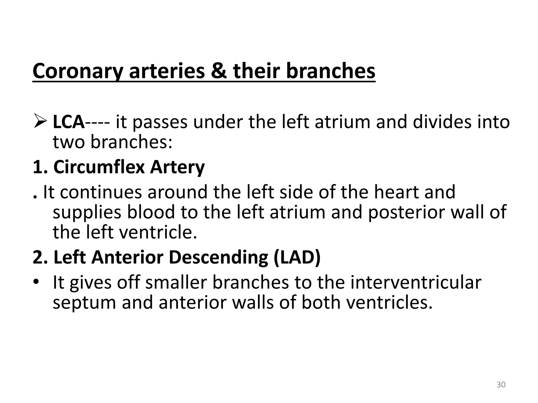 Cardiovascular System (1).pptx