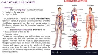 cardiovascular system1.ppt