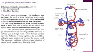 cardiovascular system1.ppt
