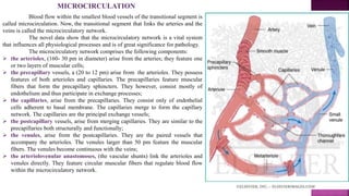 cardiovascular system1.ppt