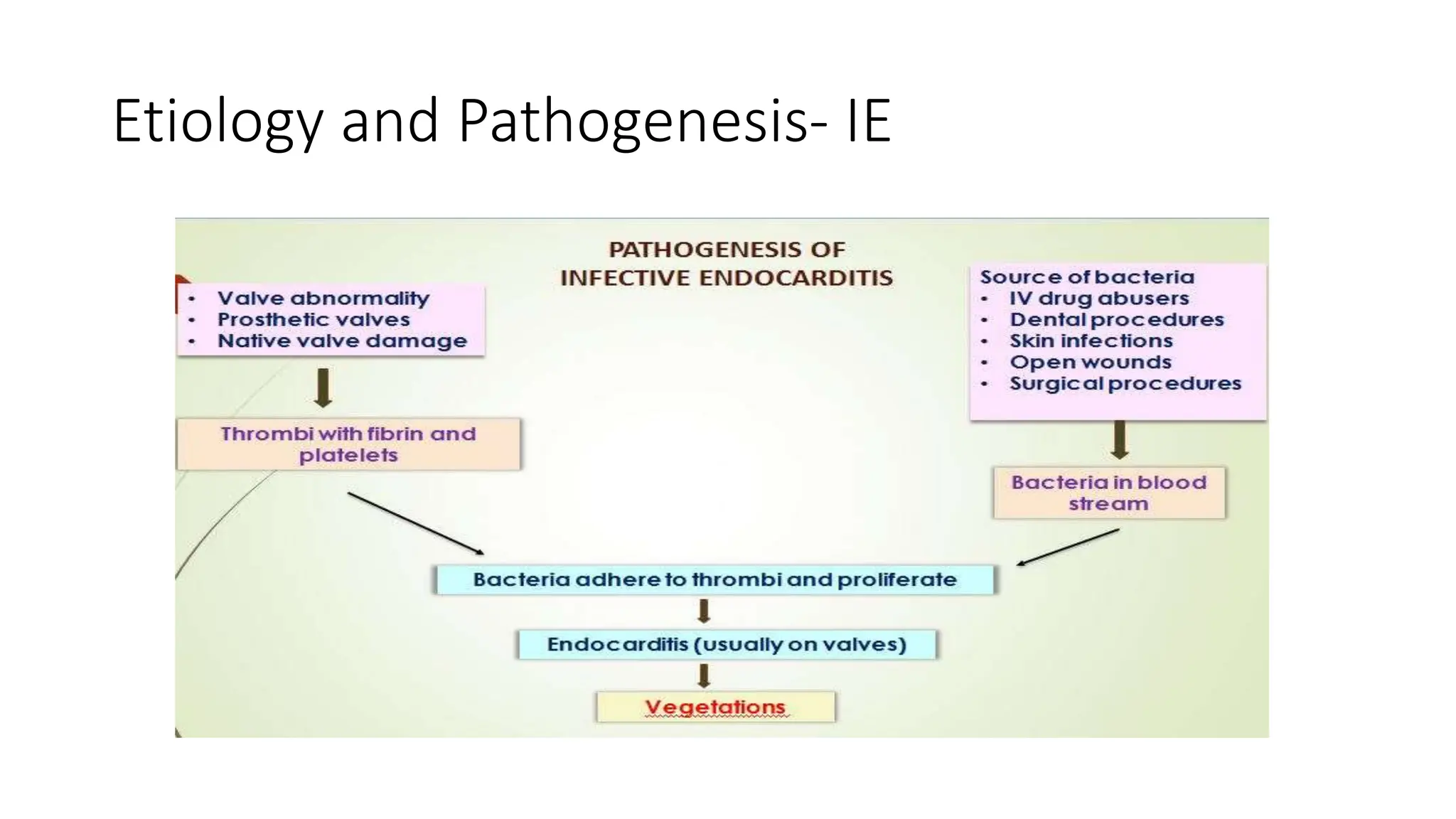 Cardiovascular System-conditions (Atherosclerosis, Ischemia and ...