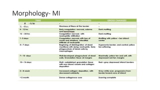 Cardiovascular System-conditions (Atherosclerosis, Ischemia and ...