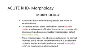 Cardiovascular System-conditions (Atherosclerosis, Ischemia and ...