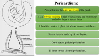 Cardio vascular system (1).pptx.Dr.Dhwani Kawedia | PPTX