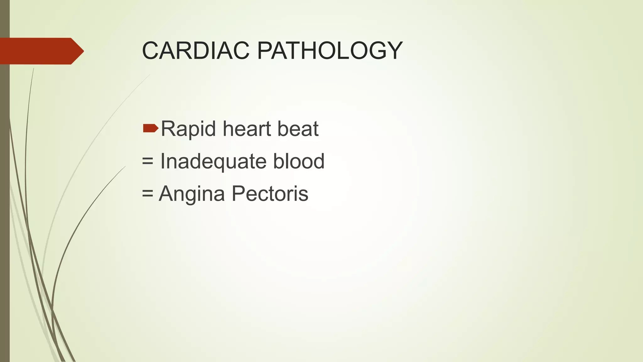 CARDIOVASCULAR SYSTEM 12.pptx | Heart and Cardiovascular Diseases ...