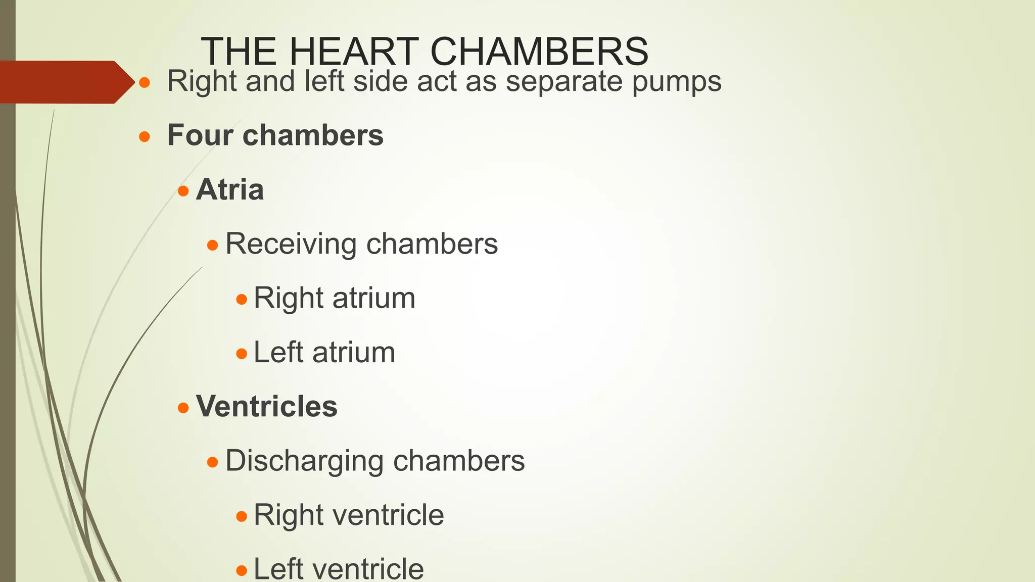 CARDIOVASCULAR SYSTEM 12.pptx