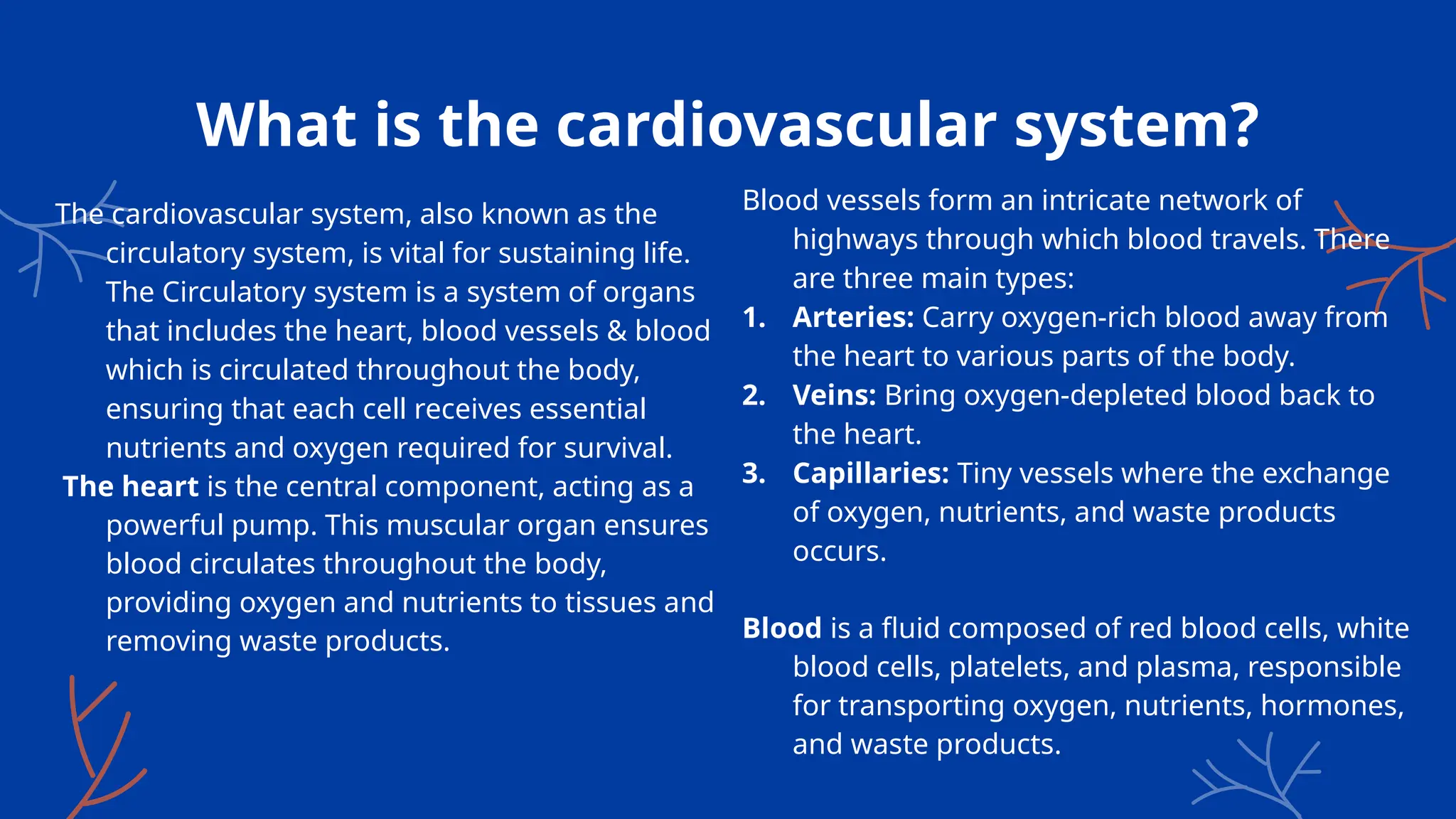 Cardiovascular system covers structure, function and circulation of ...