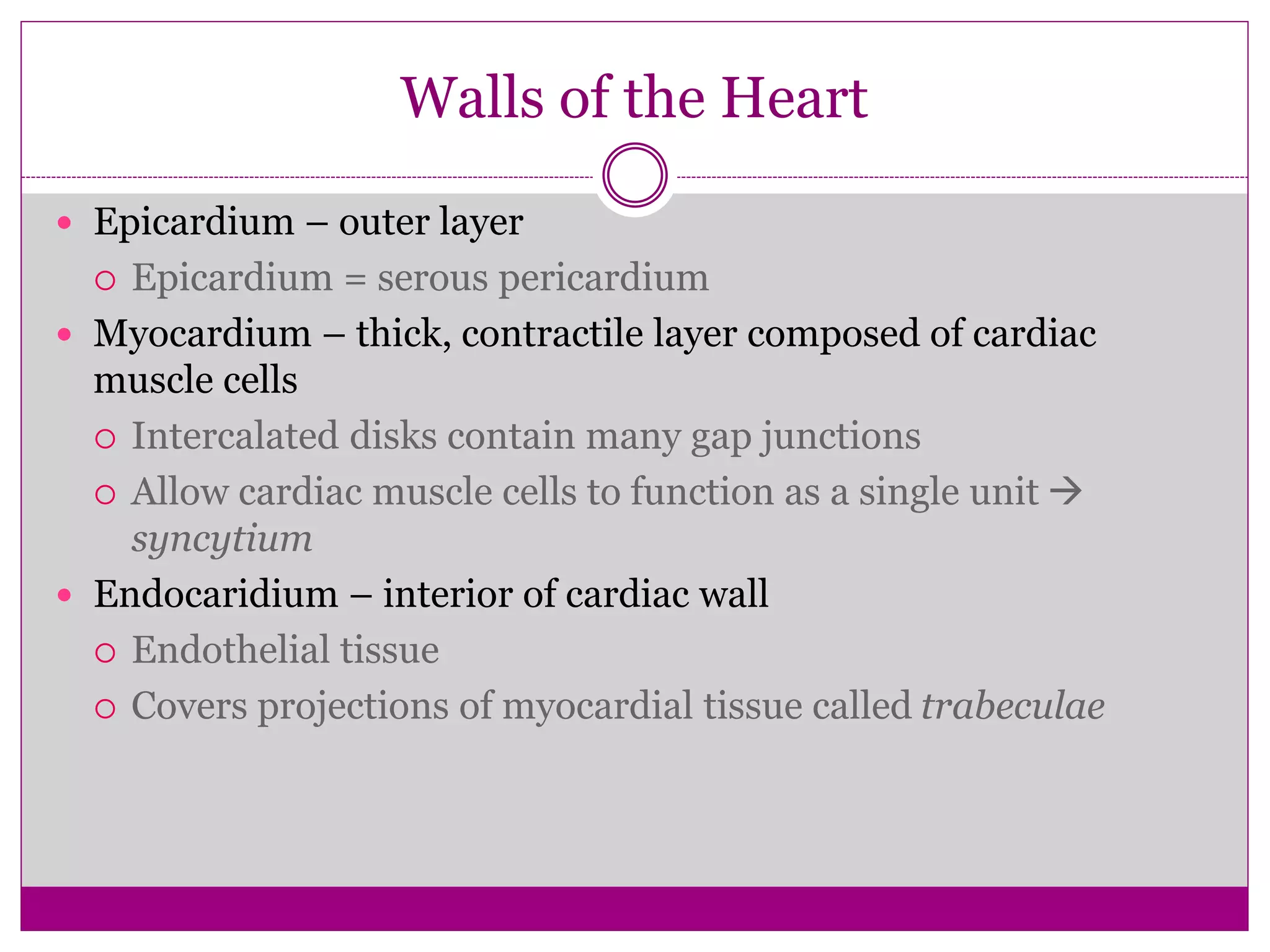 Cardiovascular system 2k23.pptx