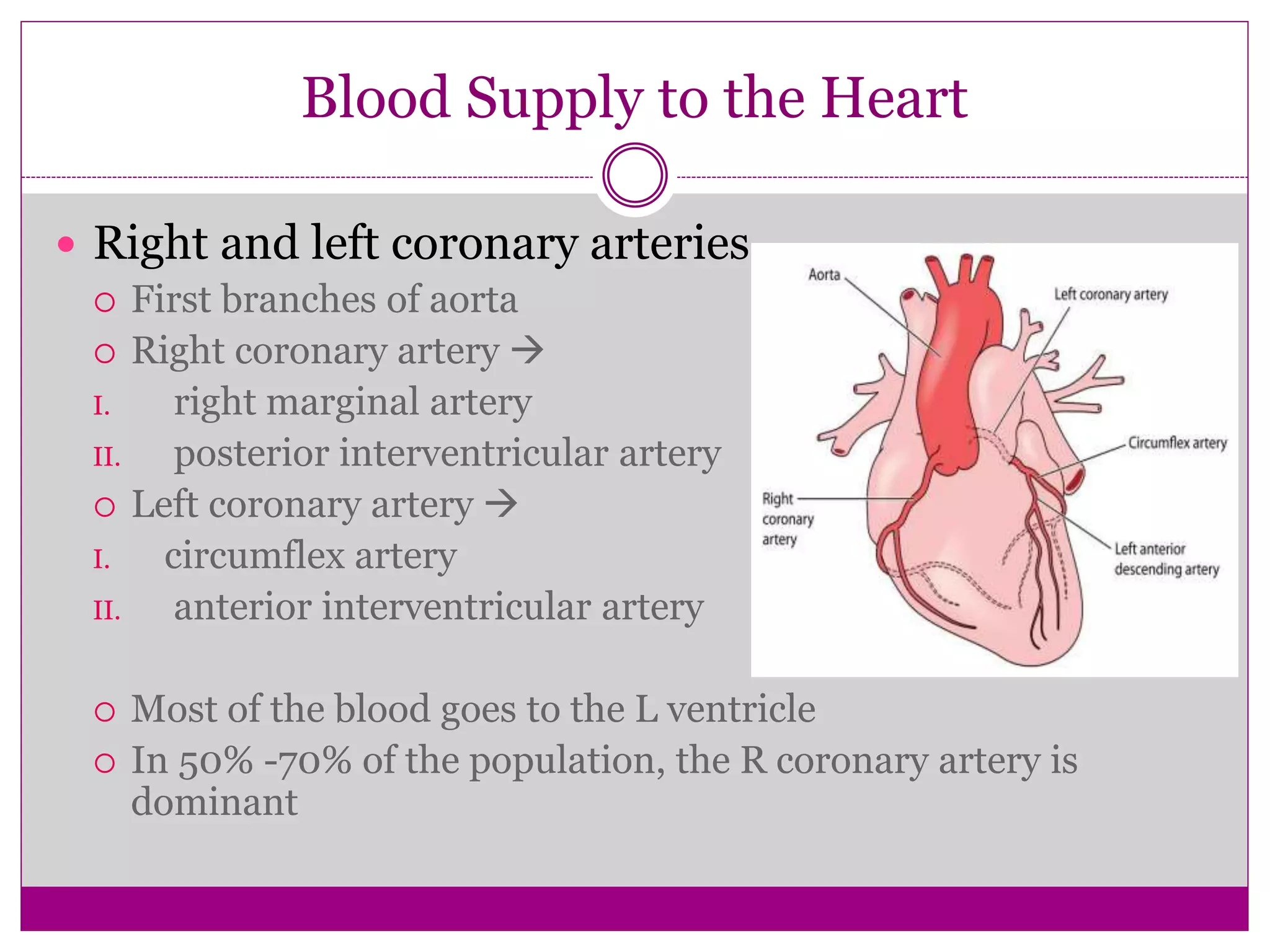 Cardiovascular system 2k23.pptx