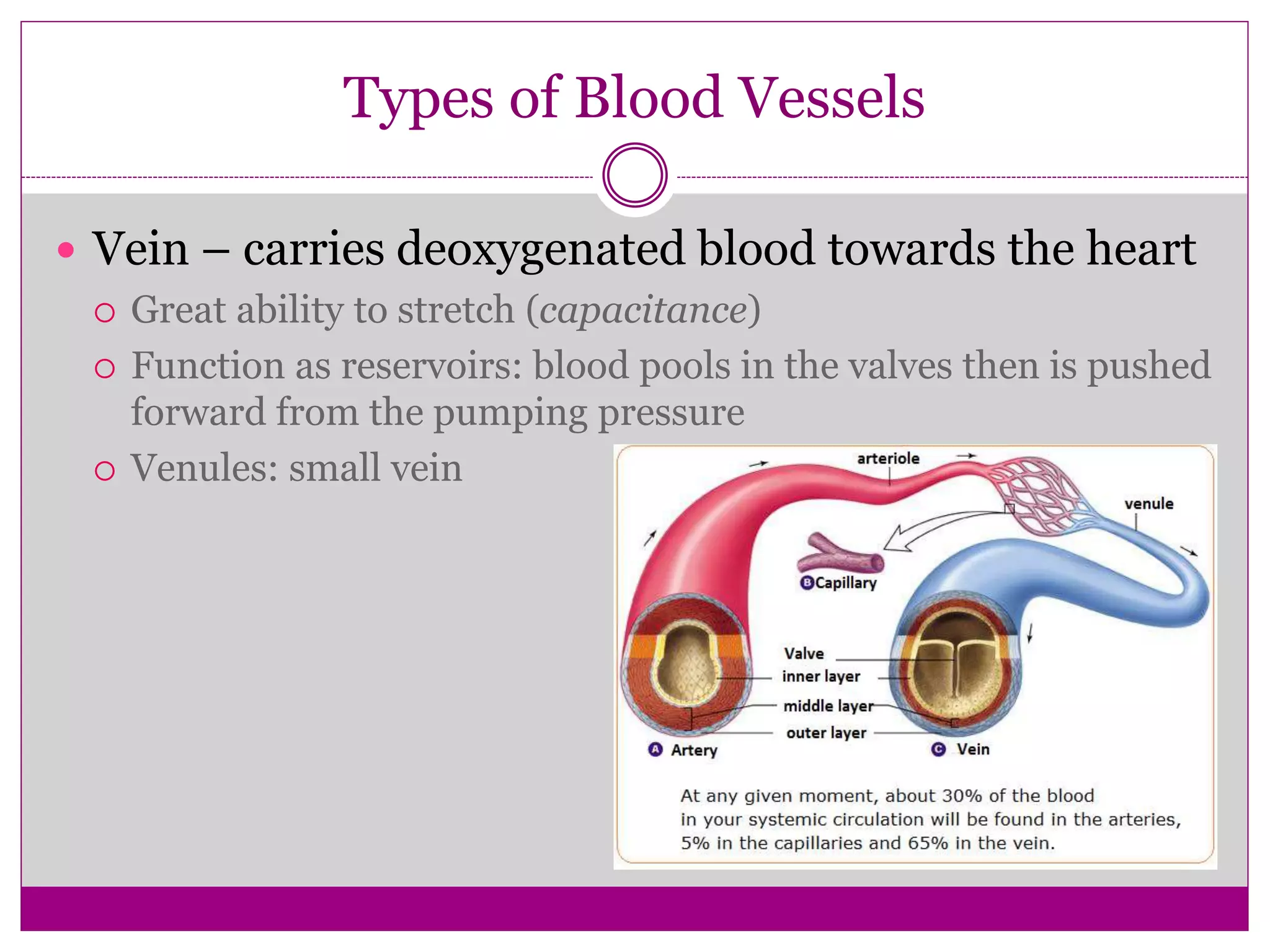 Cardiovascular system 2k23.pptx