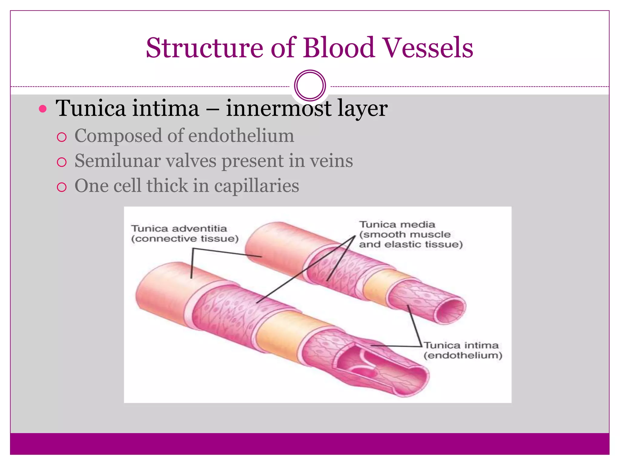 Cardiovascular system 2k23.pptx