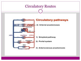 Cardiovascular system 2k23.pptx