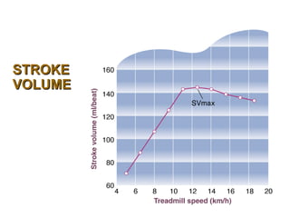 Cardiovascular System6 | PPT