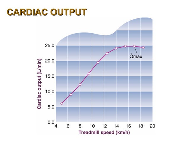 Cardiovascular System6 | PPT