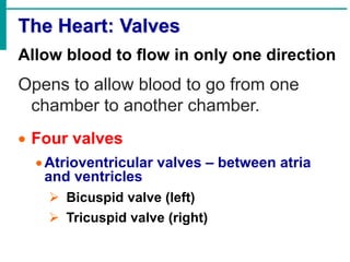 Cardio vascular system Anatomy and physiology | PPTX