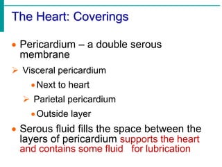 Cardio vascular system Anatomy and physiology | PPTX