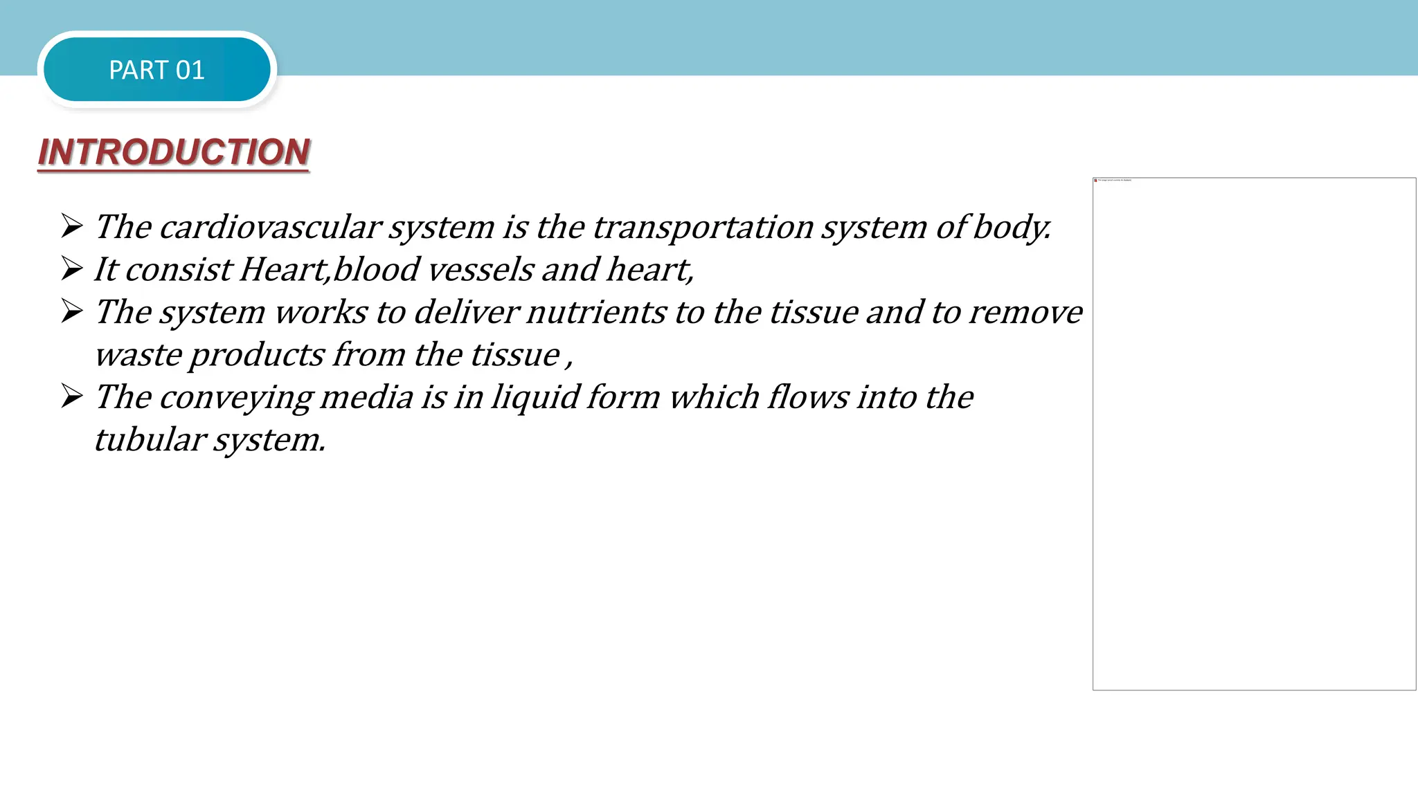 Basic Cardiovascular System Anatomy .pptx