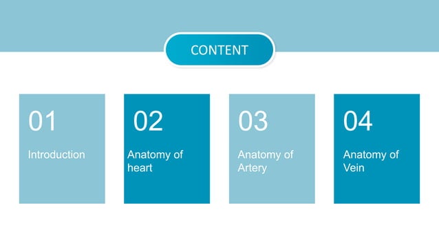 Basic Cardiovascular System Anatomy Pptx