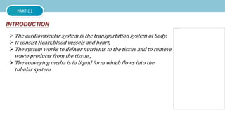 Basic Cardiovascular System Anatomy .pptx