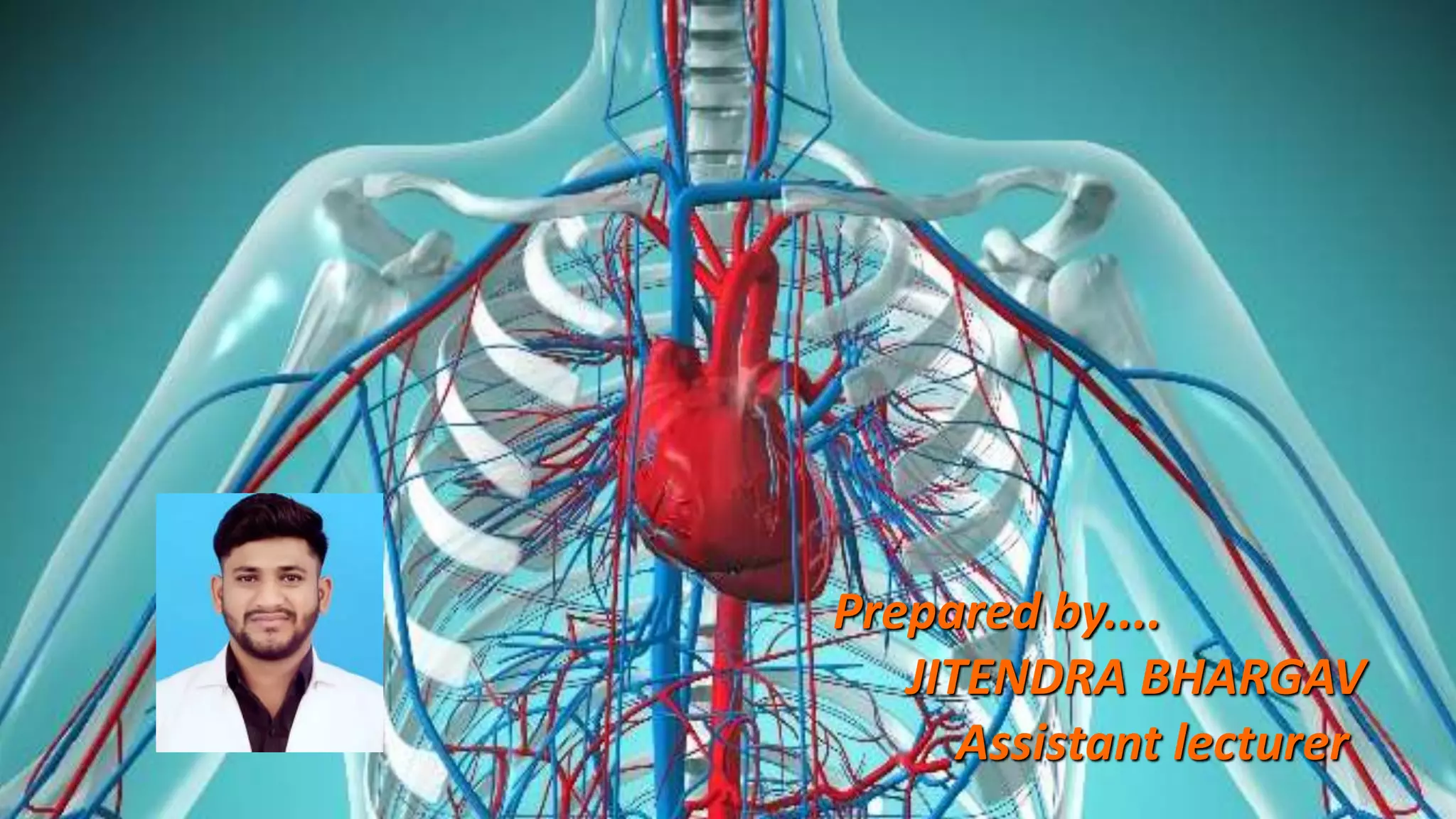 CARDIO VASCULAR SYSTEM ANATOMY AND PHYSIOLOGY SLIDESHARE | PPT