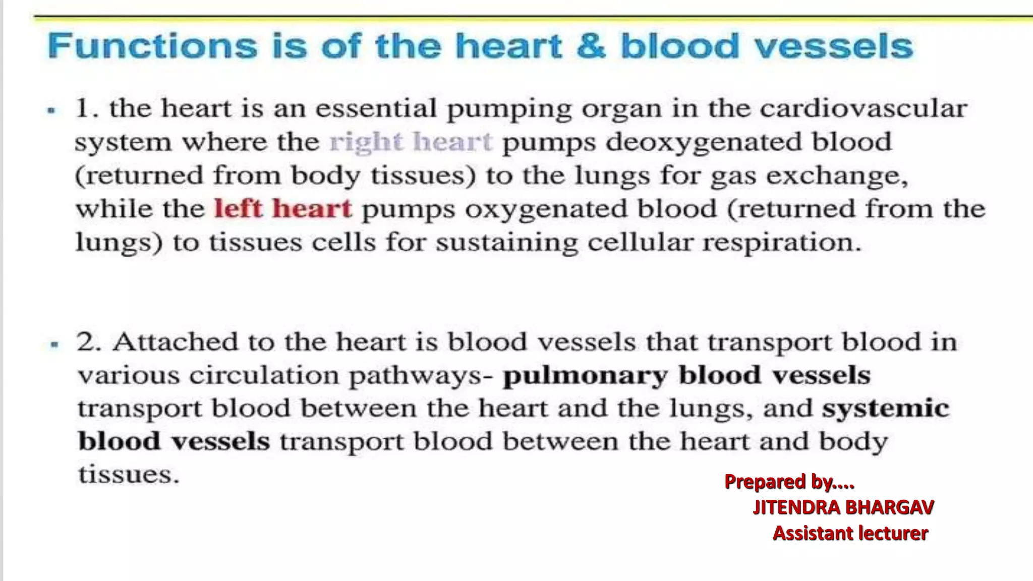 CARDIO VASCULAR SYSTEM ANATOMY AND PHYSIOLOGY SLIDESHARE | PPT