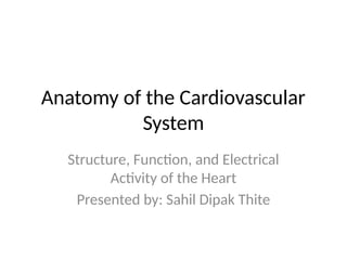 Cardiovascular_System_Anatomy_Interactive_With_Images (2).pptx