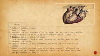 Cardiovascular system and drugs .pptx