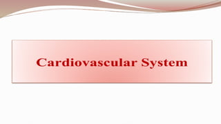 Cardiovascular system and Upper Limb Anatomy.pptx