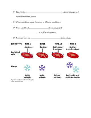 Cardiovascular system blood notes guide | DOC | Blood Disorders ...