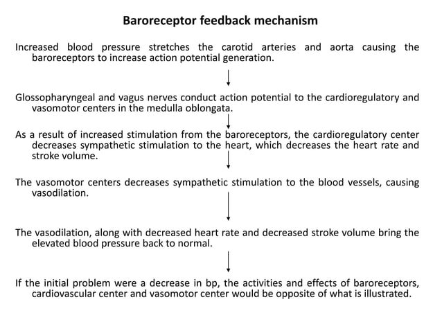 Cardiovascular system (blood pressure, hypertension) | PPTX | Heart and ...