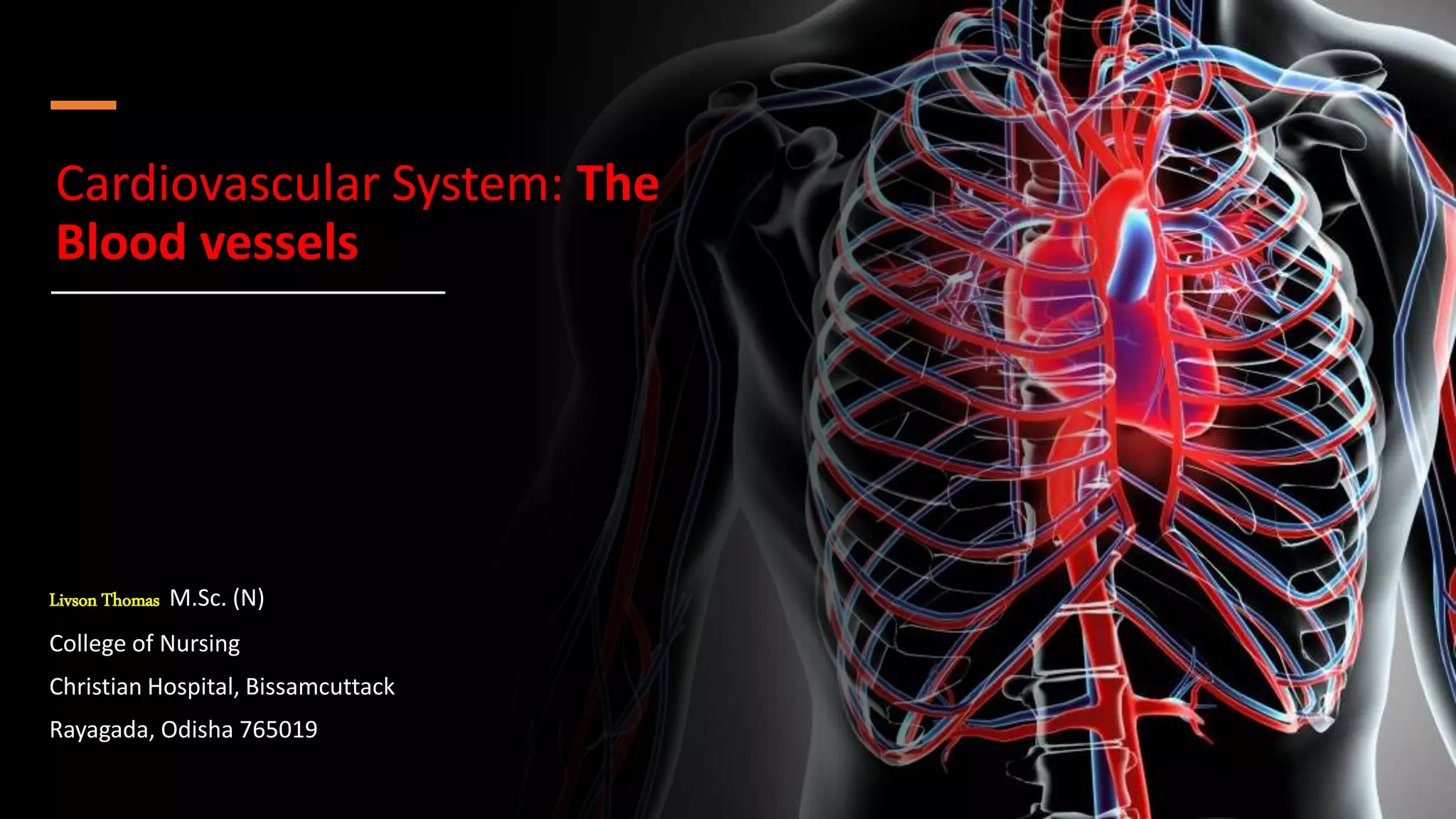 Blood vessels | PPTX
