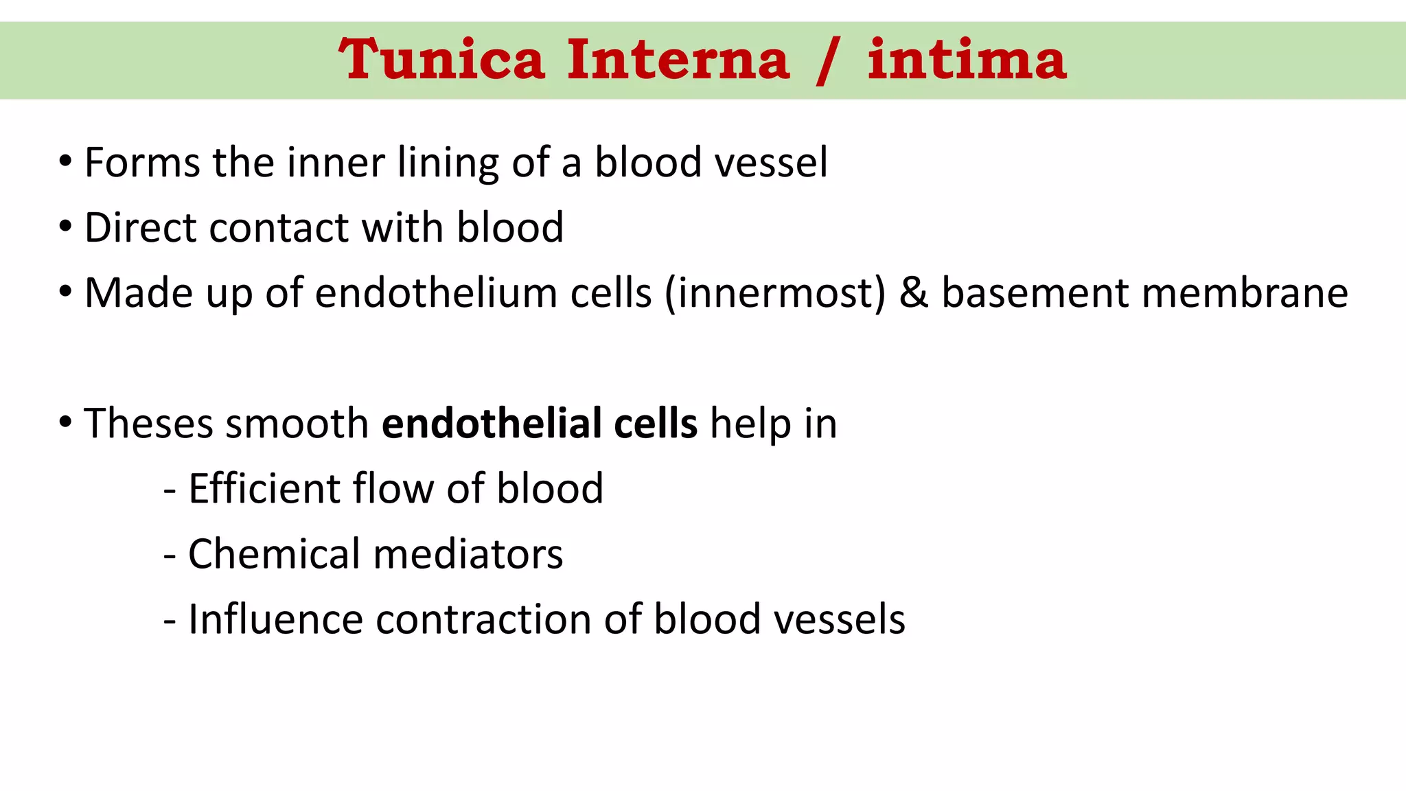 Blood vessels | PPTX