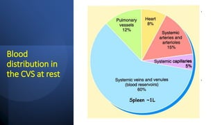 Blood vessels | PPTX
