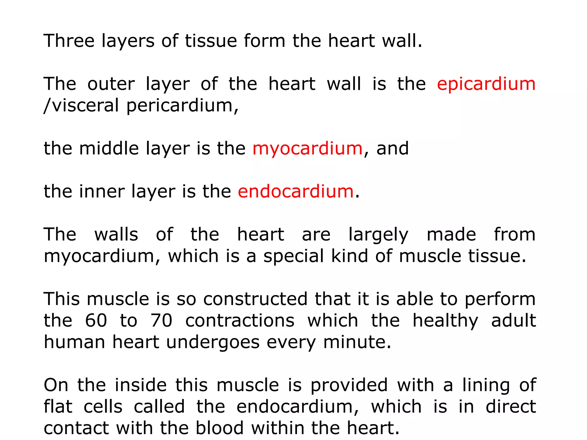 Cardiovascular system (blood vessels, anatomy) | PPTX