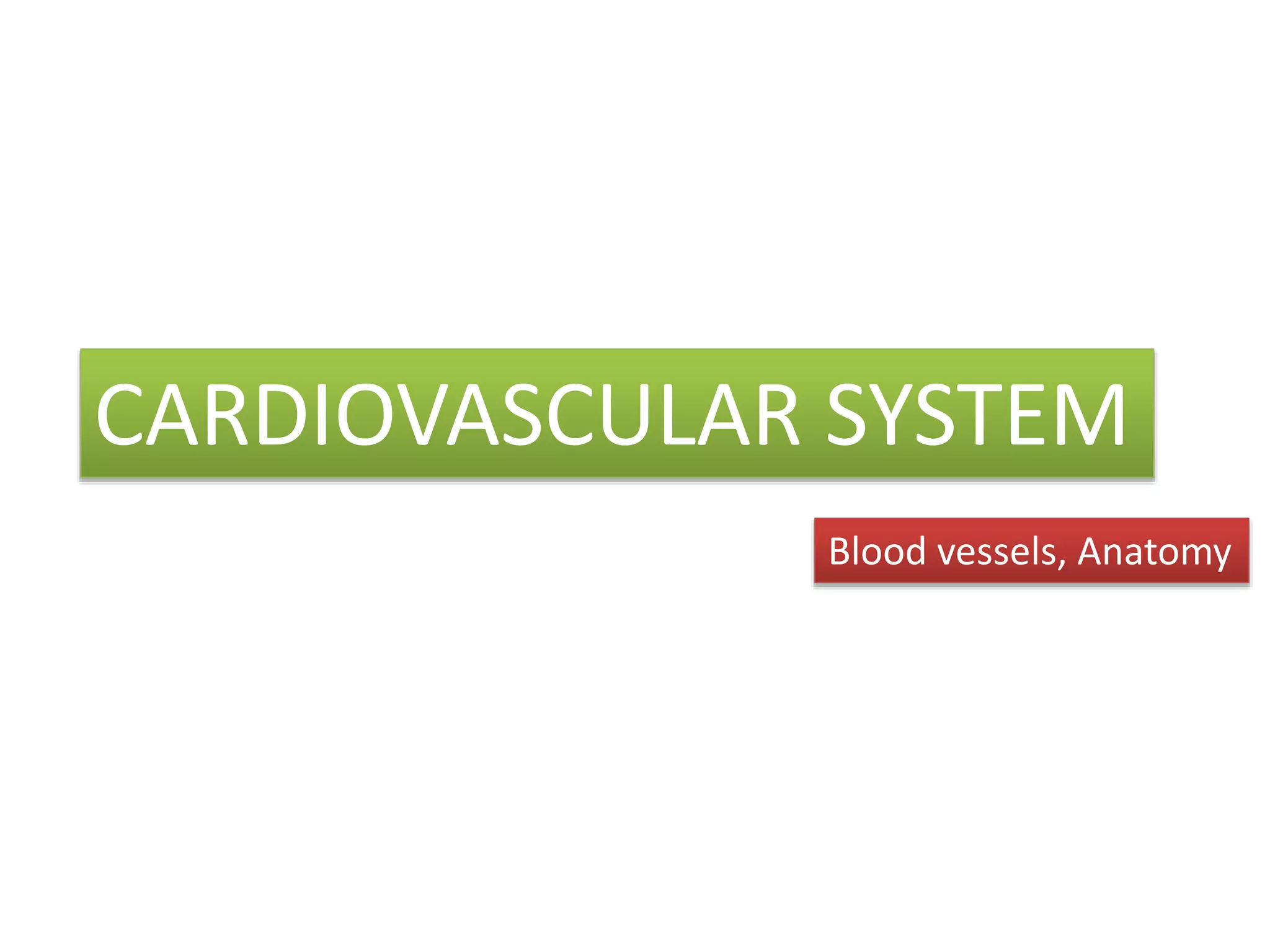 Cardiovascular system (blood vessels, anatomy) | PPT