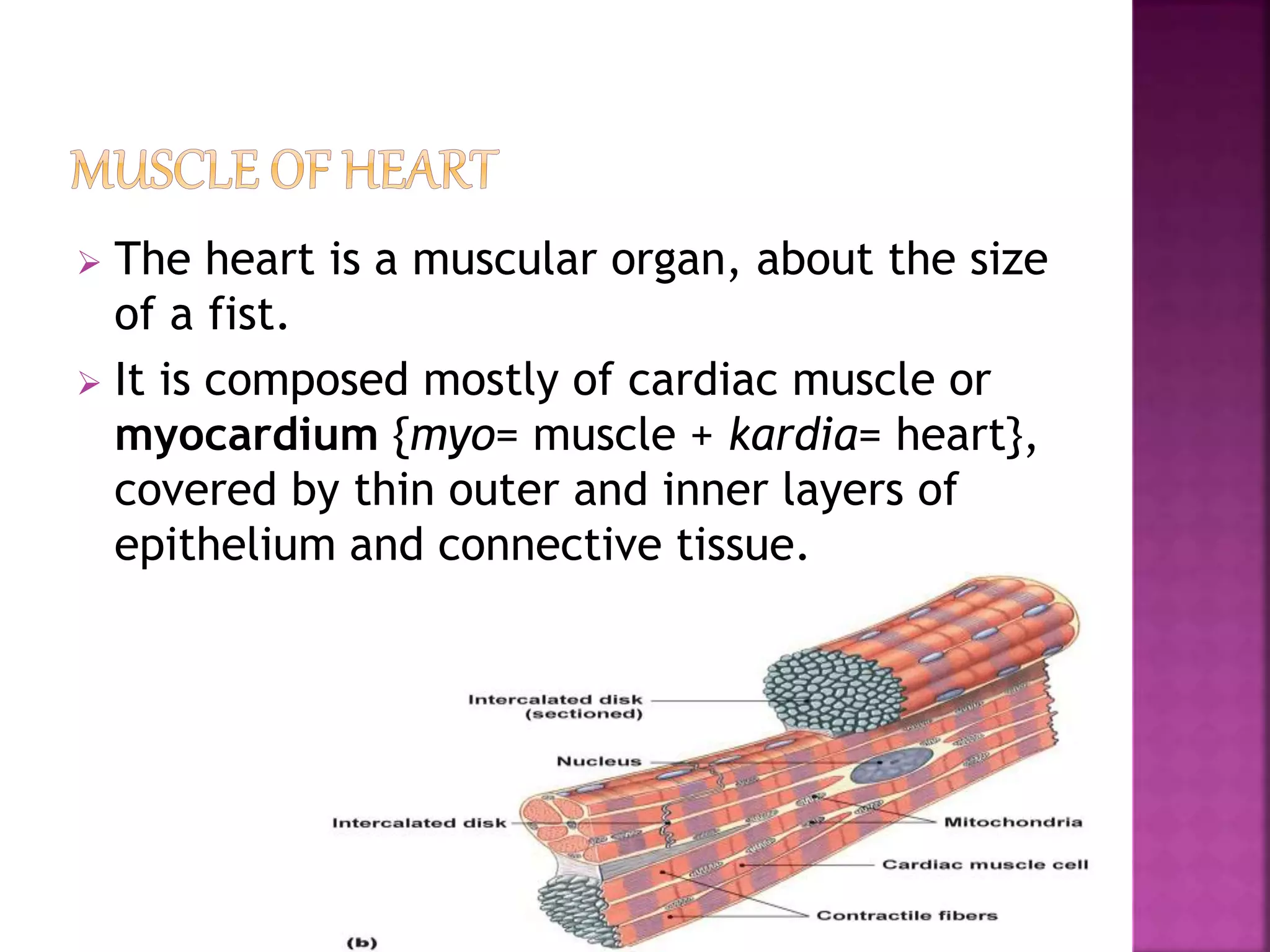 Cardiovascular system by shahbaz ahmad | PPTX