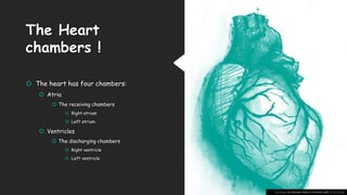 Cardiovascular System.pptx