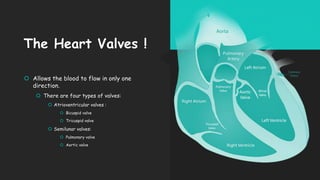 Cardiovascular System.pptx