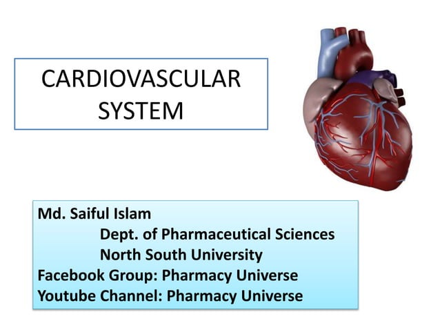 Cardiovascular system (cardiac ap, ECG) | PPT
