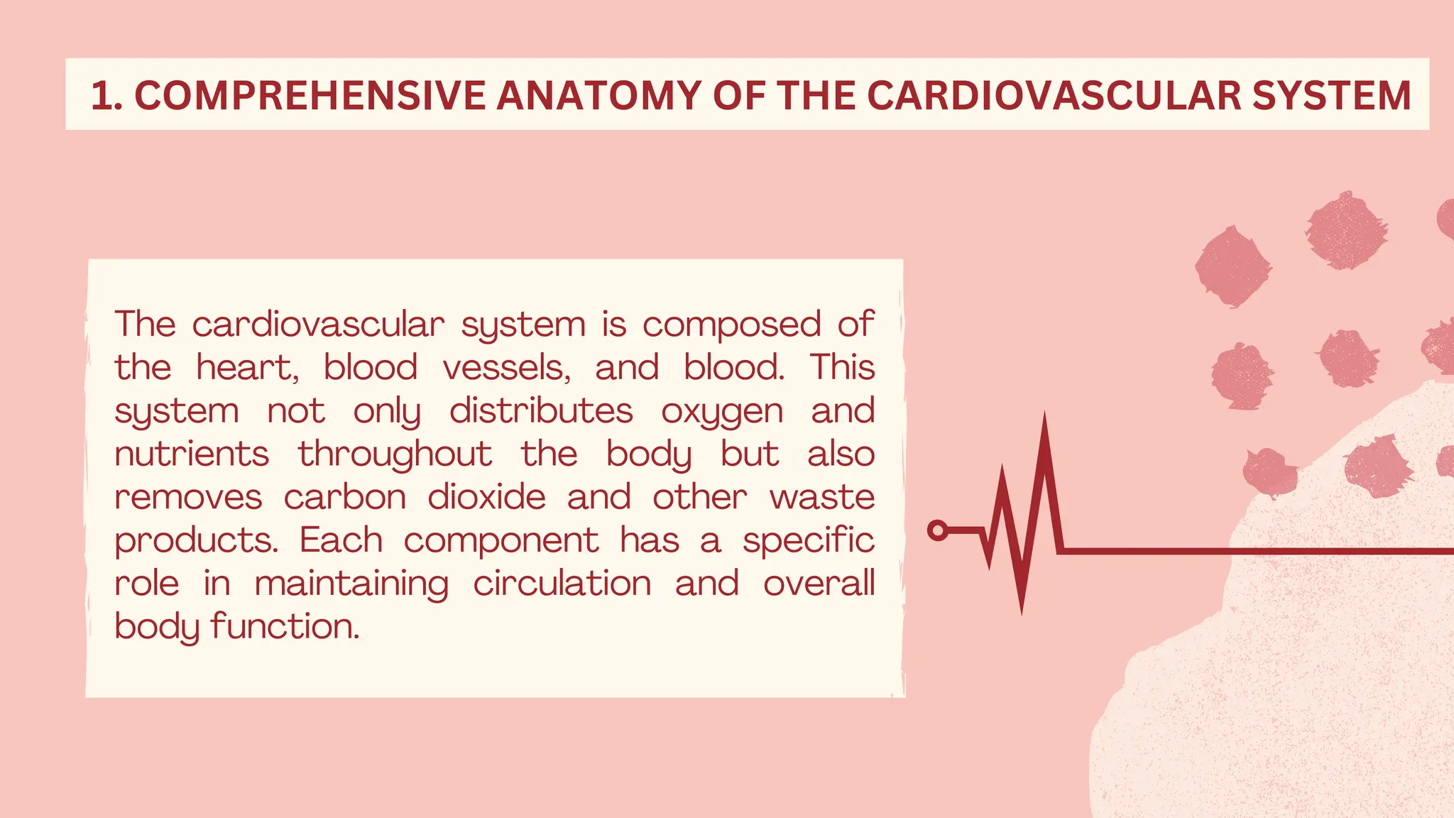 Heart, Vessels & Imaging: A Complete Overview of the Cardiovascular ...