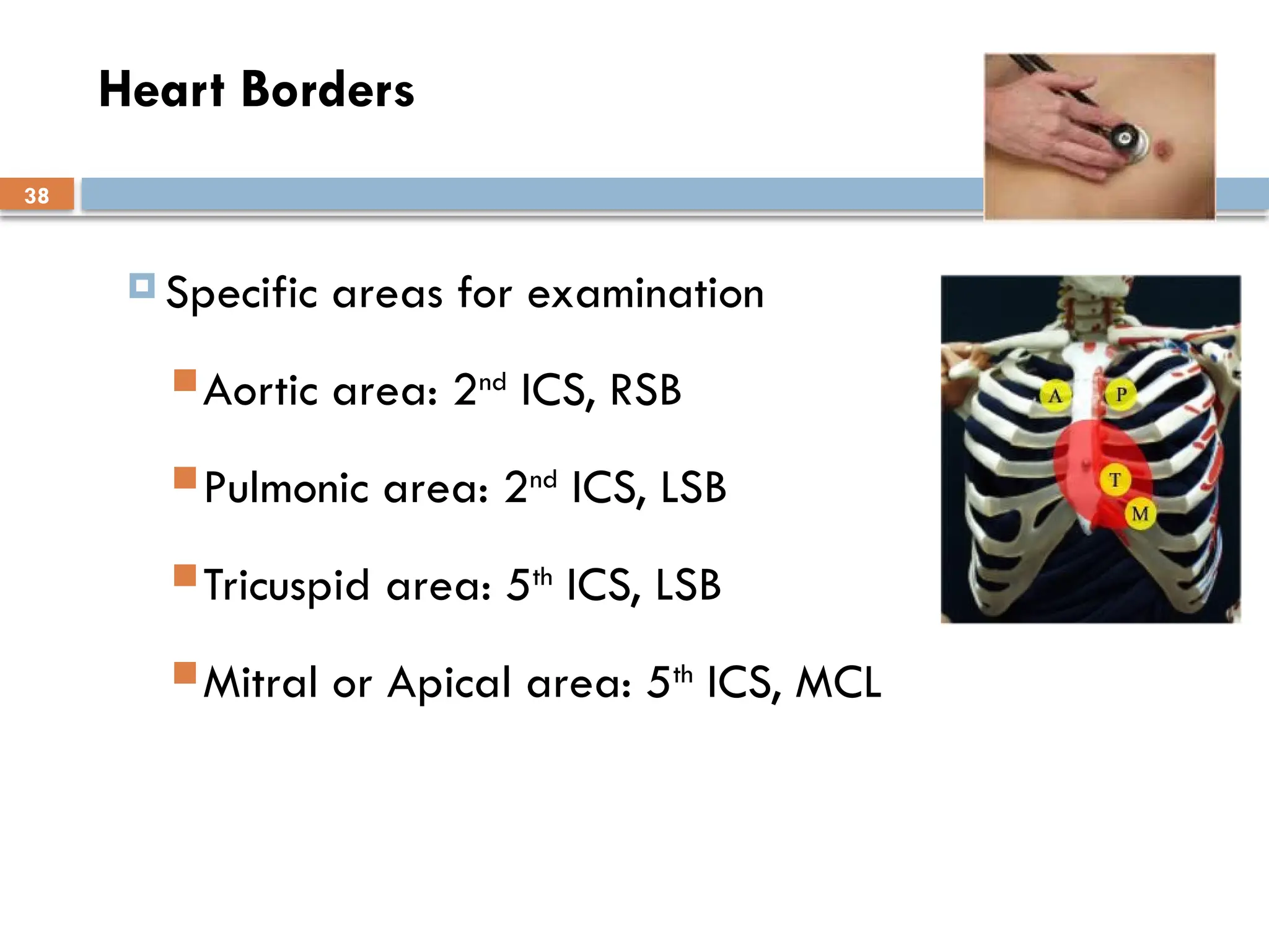 Cardiovascular system disorders for second year nursing students.pptx